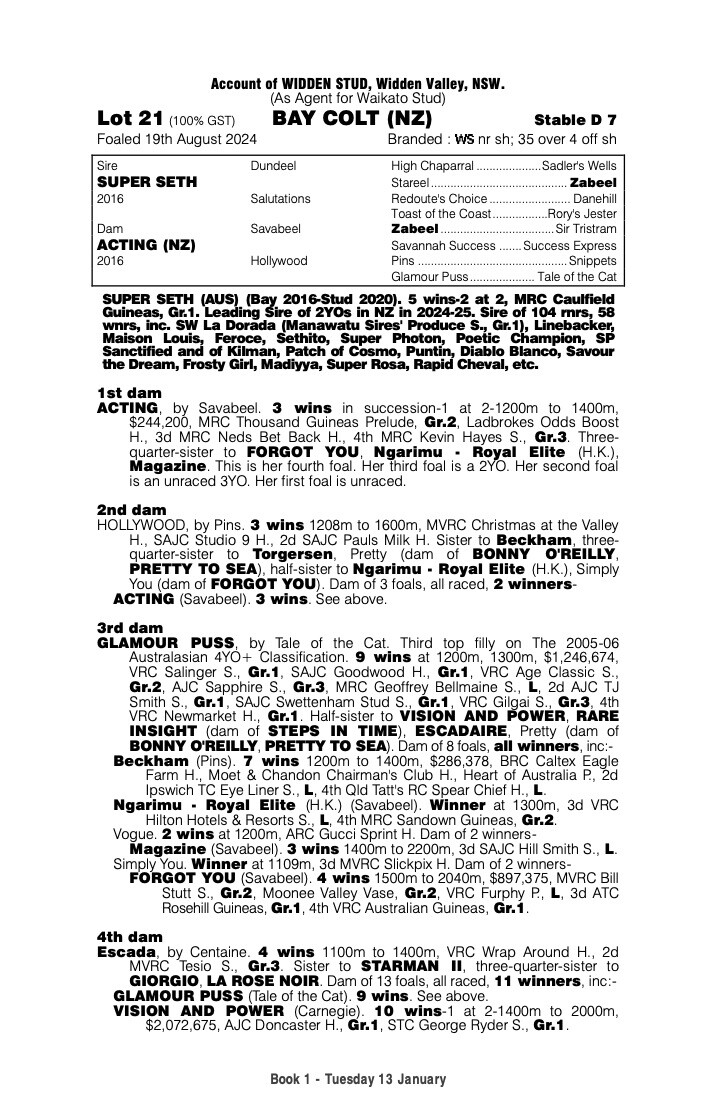 Super Seth X Acting Colt - Price Kent Racing